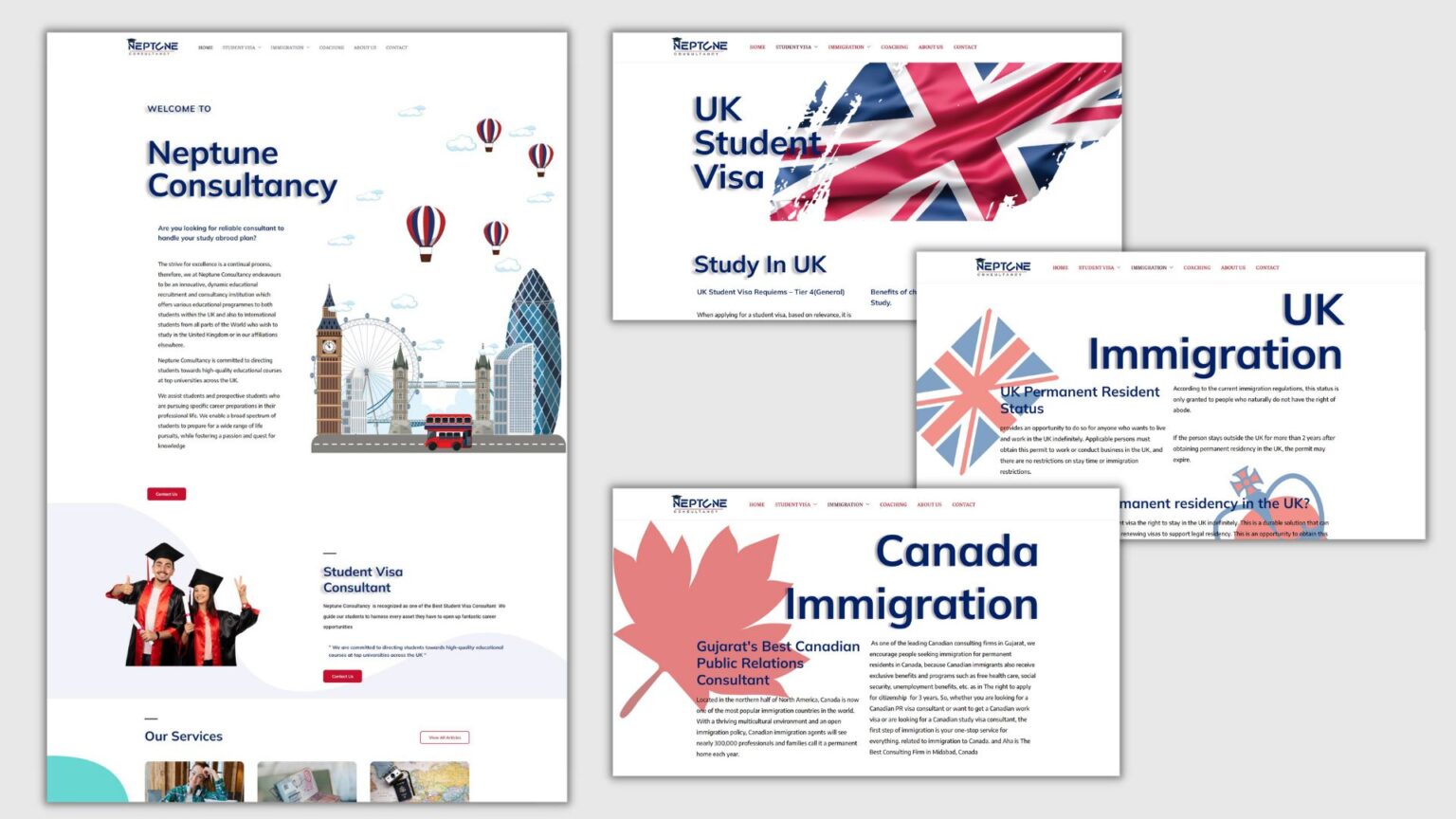 Neptune Consultancy - DigiMark Hub